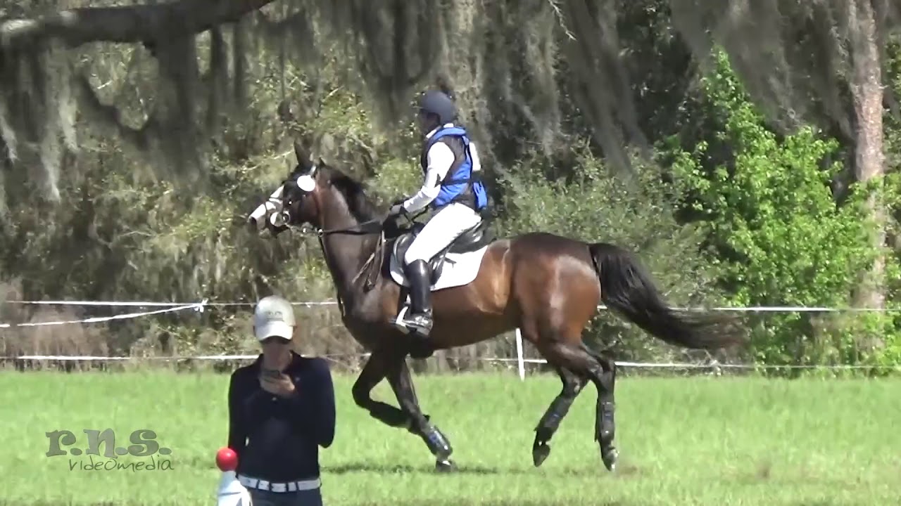 Ronald Zabala-Goetschel & Wundermaske Rocking Horse Winter 3 Horse ...