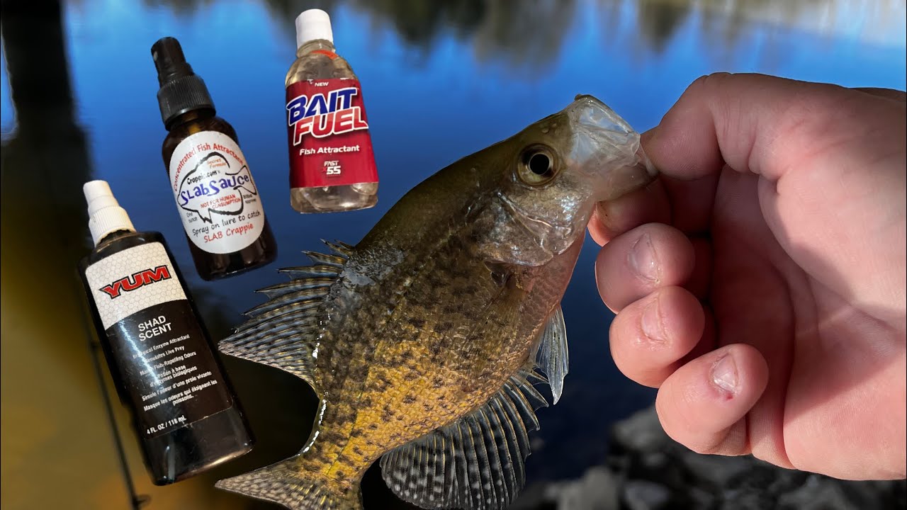 Fish attractant comparison - Yum Baits Shad Scent - YouTube