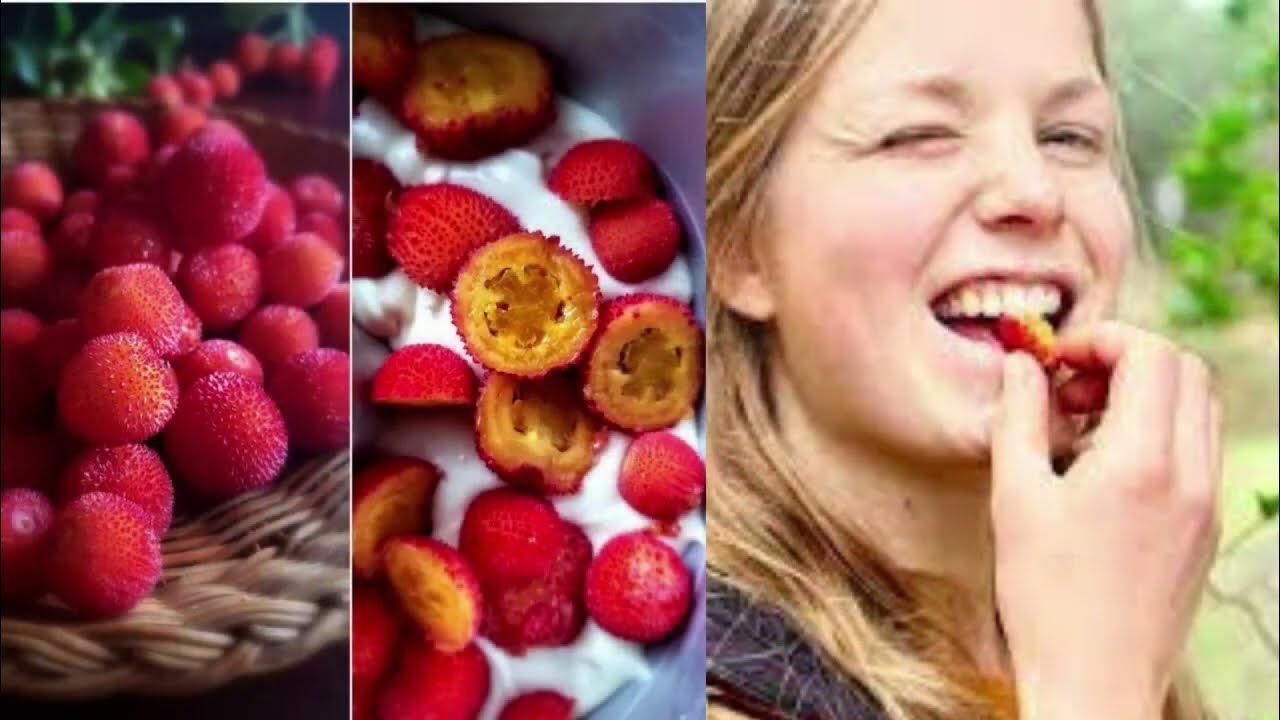 Top 10 tropical fruits you've never heard of | Top 10 Rare tropical fruits - YouTube