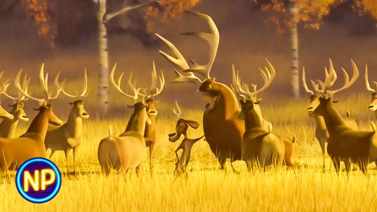 Meeting the Herd | Open Season | Now Playing - YouTube
