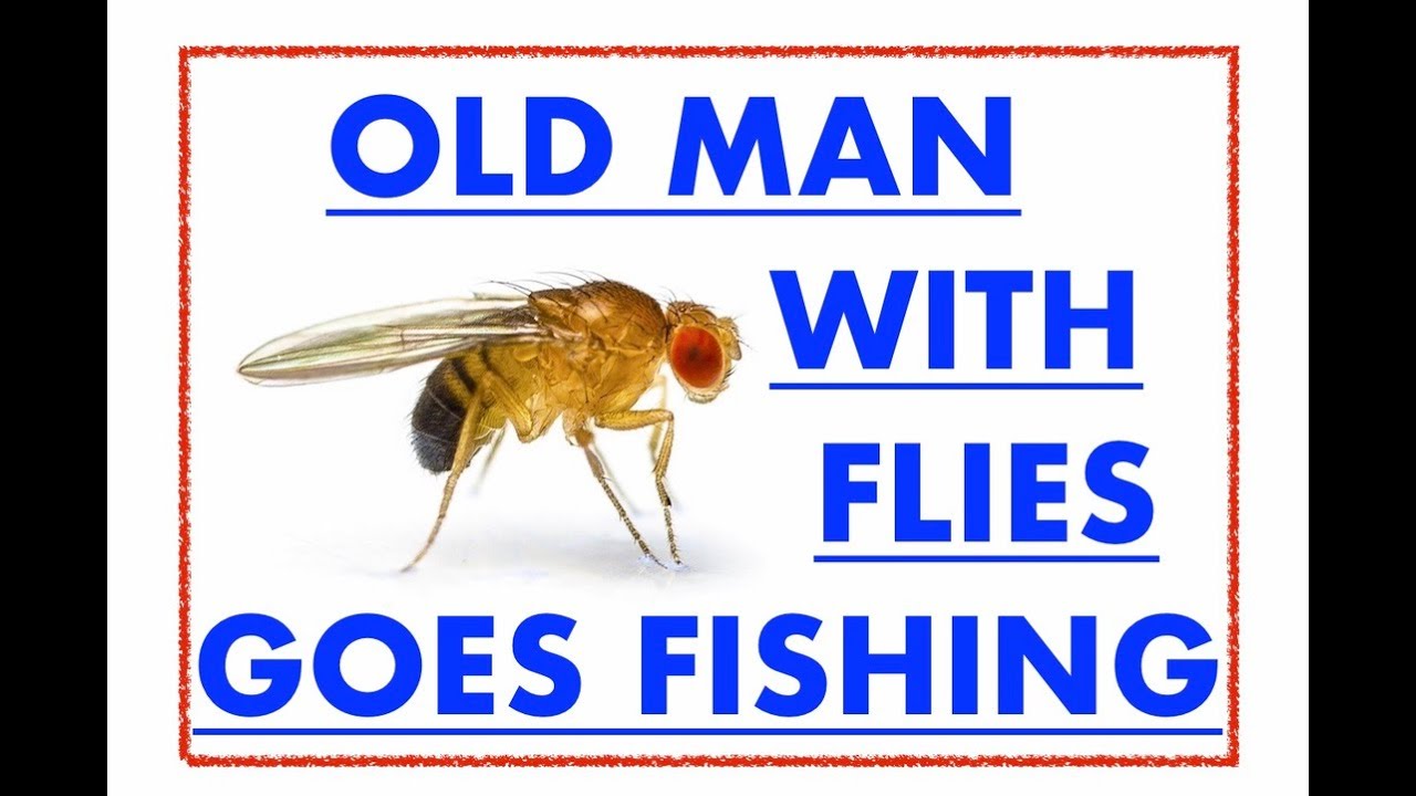 OLD MAN WITH FLIES GOES FISHING! - YouTube