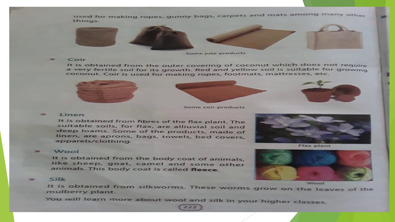 Class 6th Subject Science Topic Ch 14 Lecture 1 YouTube class-6th-subject-science-topic-ch-14-lecture-1-youtube