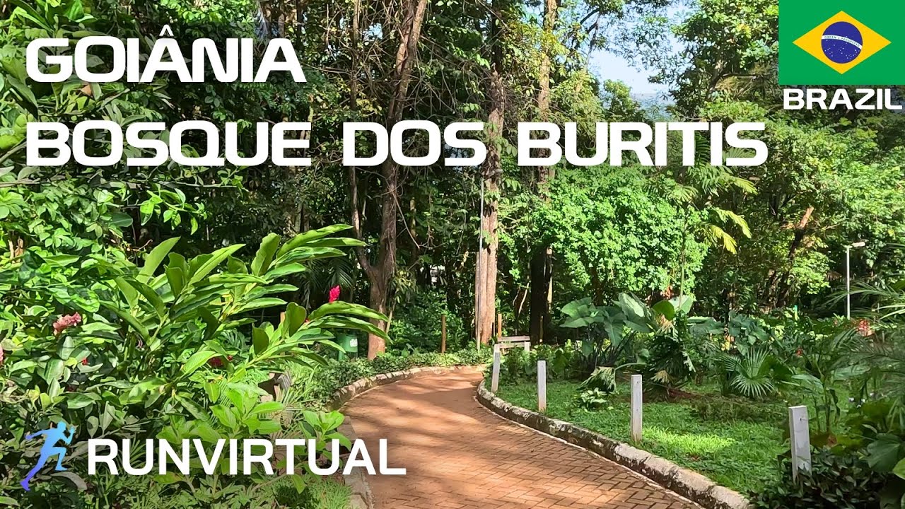Virtual Run: Bosque dos Buritis - Urban Park in Goiânia, Brazil - YouTube