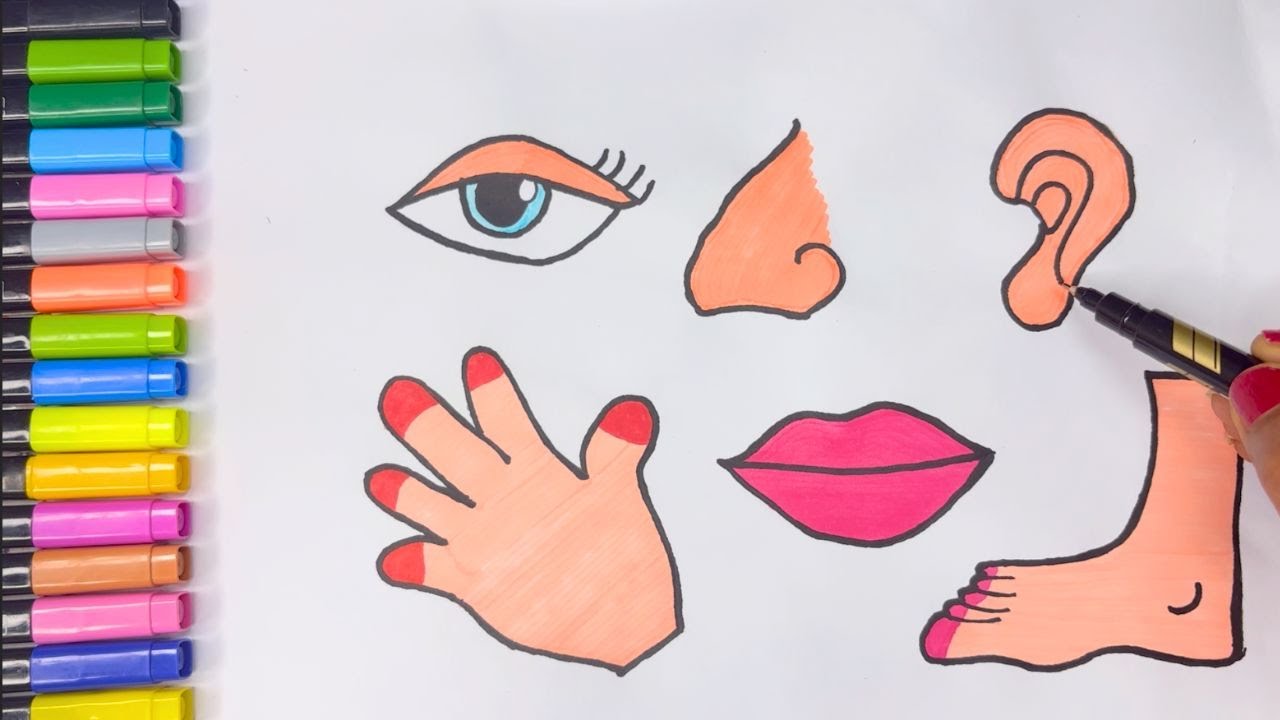 Easy Body Parts Drawing and Coloring for Kids | Learn to Draw Eyes ...