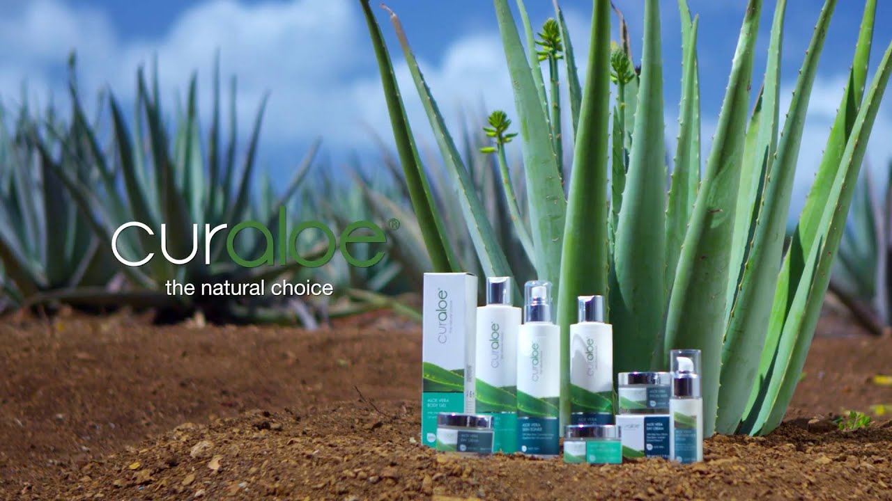 How and where we make our Curaloe products out of 100% pure Aloe Vera ...