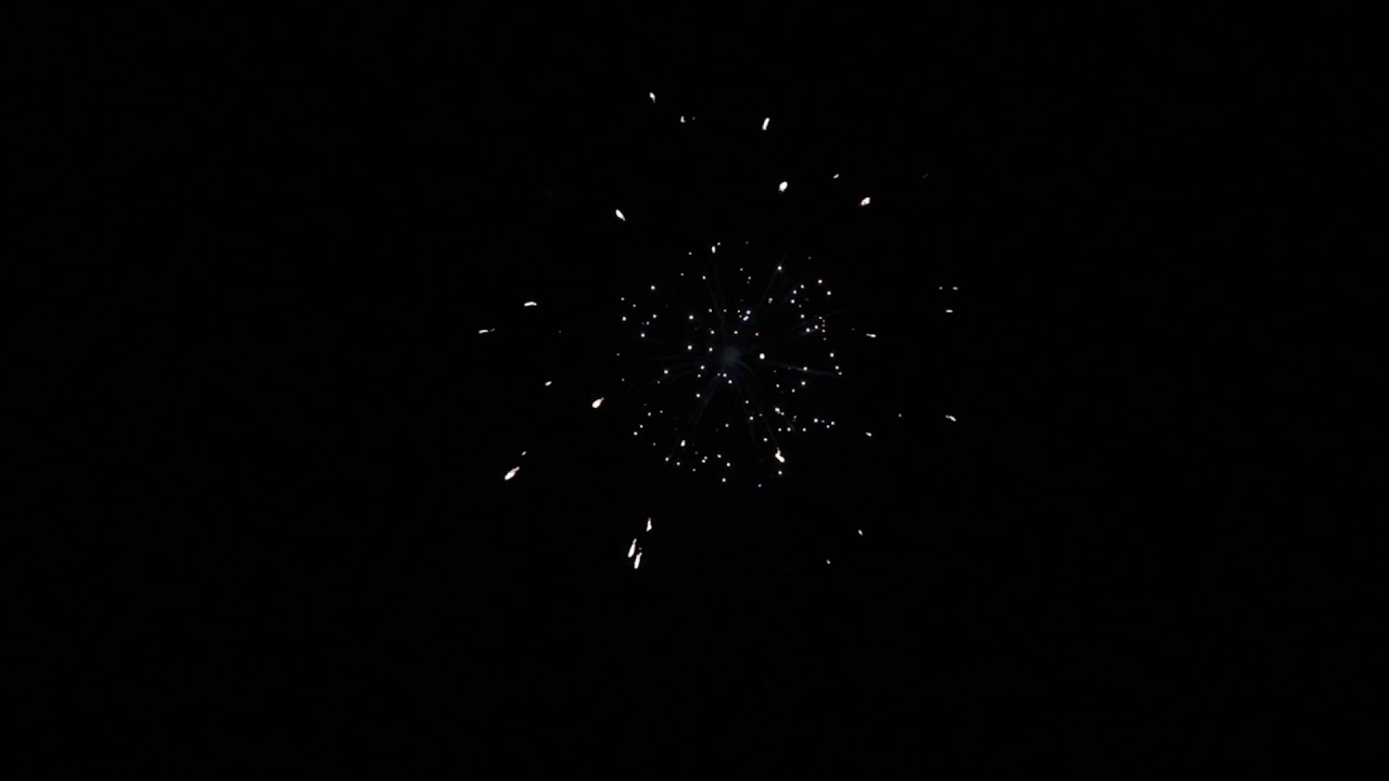 6'' RED TO SILVER DRAGON WITH WHITE STROBE PISTIL (by Lidu Fireworks ...