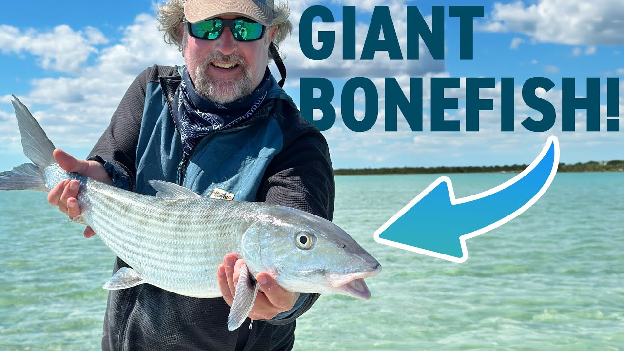 Fly Fishing for Giant Bonefish in the Bahamas! - YouTube