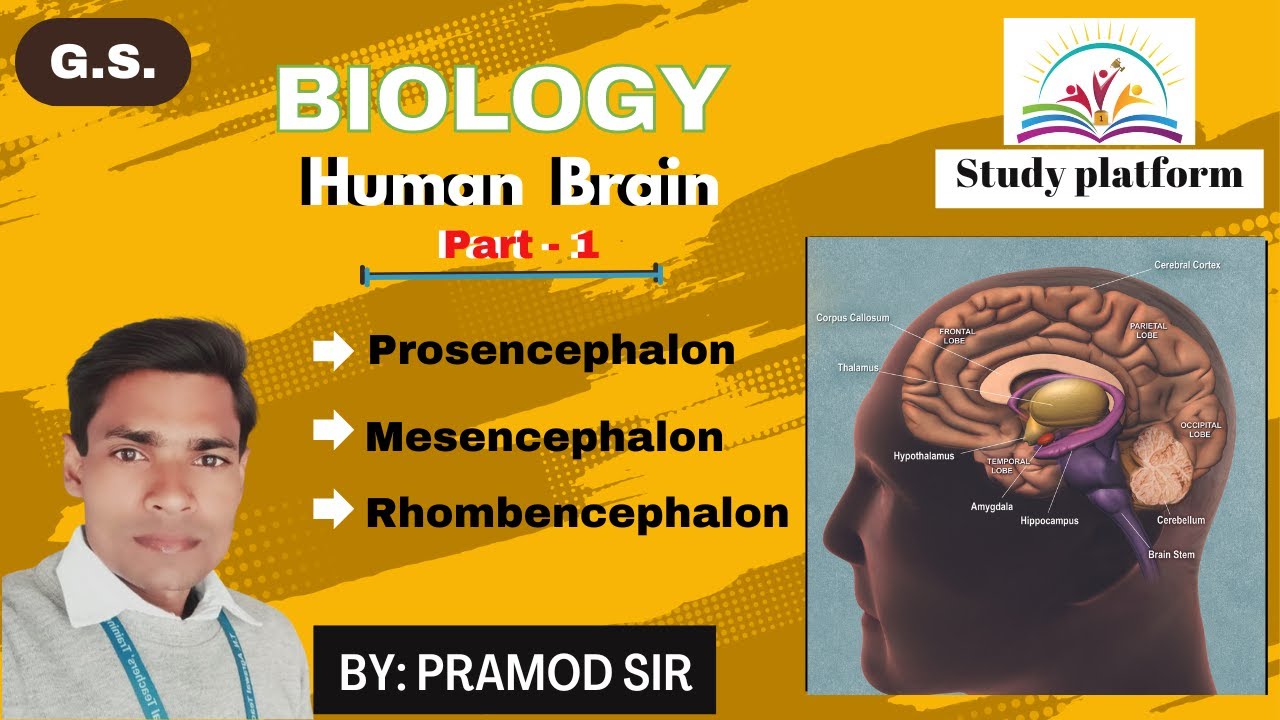 Human Brain Part-1 | Biology |. by Pramod sir - YouTube