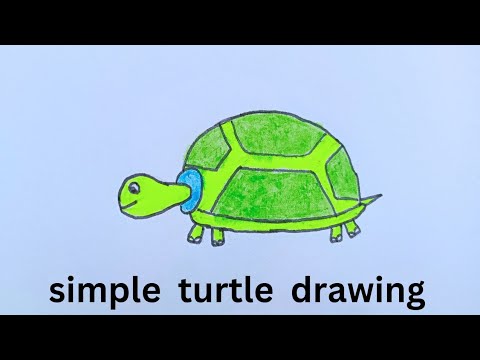 How to draw a cute turtle easy step by step || Turtle drawing || - YouTube