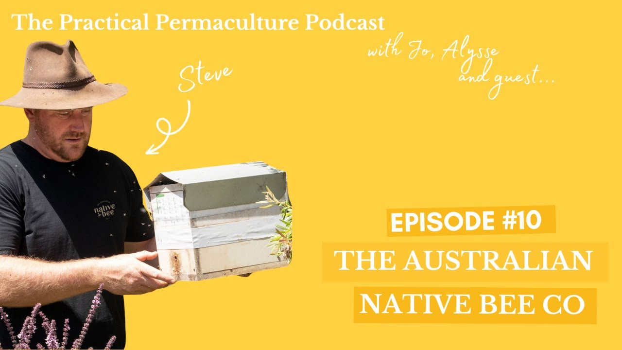 Episode 10- Steve from Australian Native Bee Co I Bee Keeping I Bee essentials I Easy Bee ...