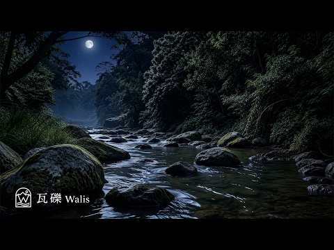 🔴 LIVE Night Forest Stream & Insect Sounds | Sleep, Relax & Meditate