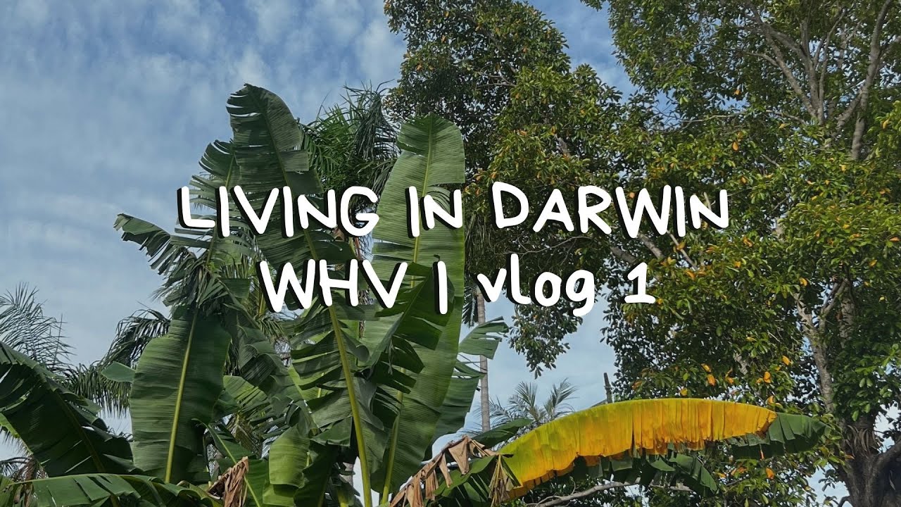 LIFE IN DARWIN | 88 DAYS - WHV | first vlog ! - YouTube