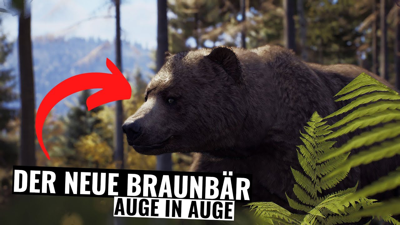 Auge In Auge Mit Den Giganten
