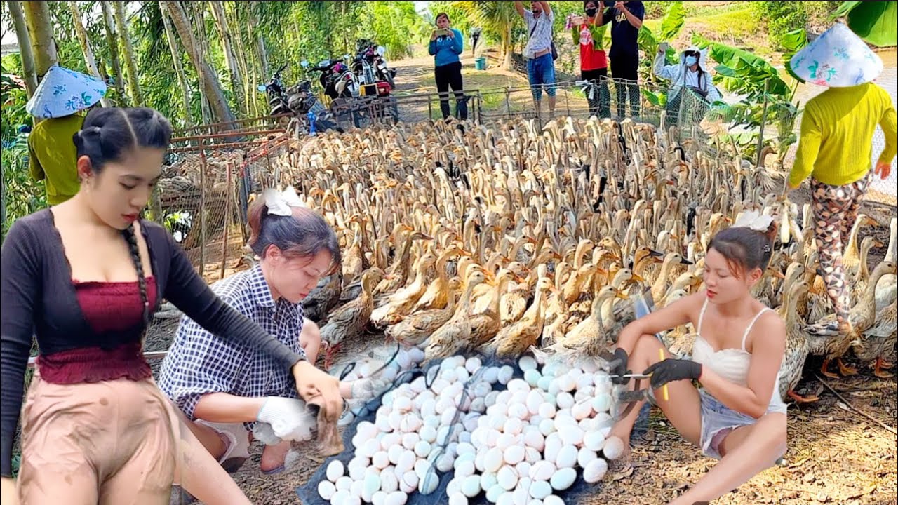 when the duck boarded the ship for an adventure across the border - YouTube