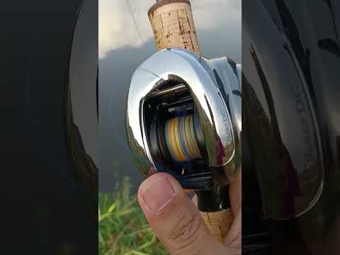 2021 VS 2018 Antares DC #shimanocuradodc #shimanoreels #shimanoslx #fishing #shot #shots