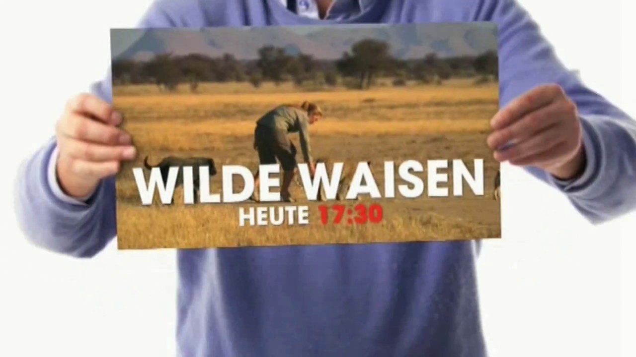 Das Vierte - Dokumentationen- und Informationssendungenvorschauen 2013 ...
