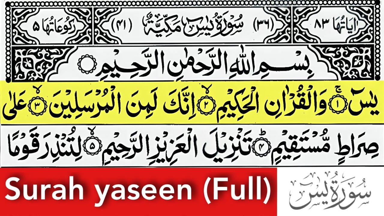 🔴Surah yaseen | yasin sharif🕌💛 | surah yaseen live - YouTube