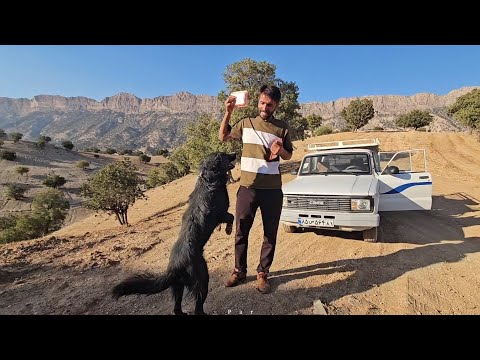 A Loyal Dog 🐕❤️ | Babak Reunites with Khersi After Busy Days in the City 🏙️