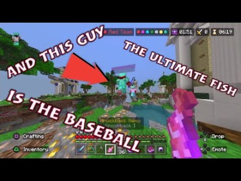the ultimate fish in the hive - YouTube