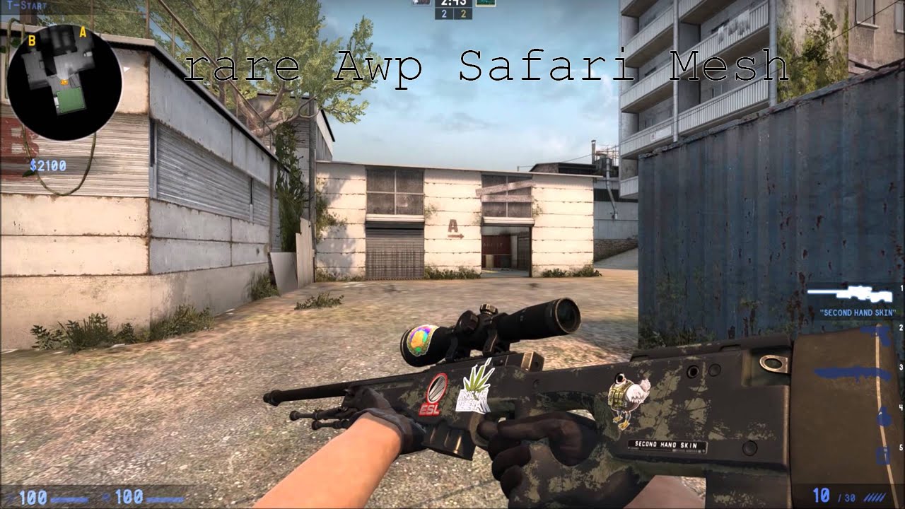 CS:GO Rare AWP | Safari Mesh (Battle-Scarred) - YouTube
