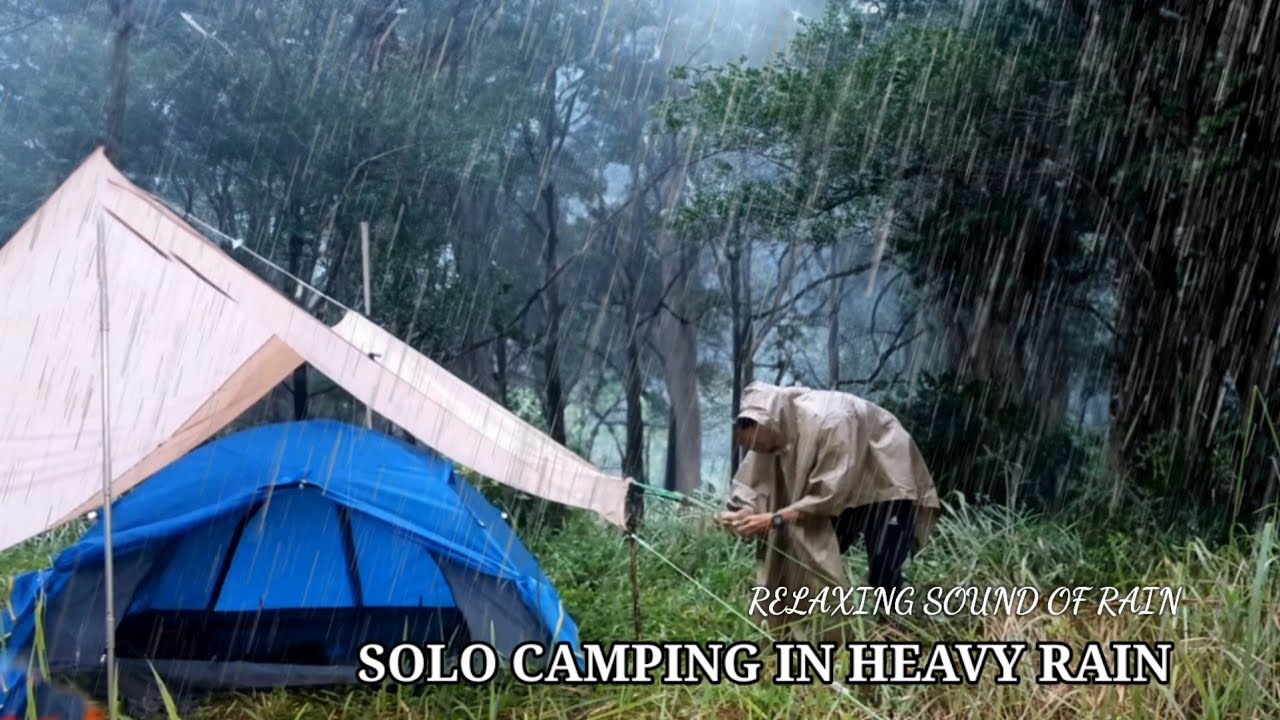 ⛈ SOLO CAMPING IN HEAVY RAIN - SLEEPING RELAXING SOUND OF RAIN IN THE ...