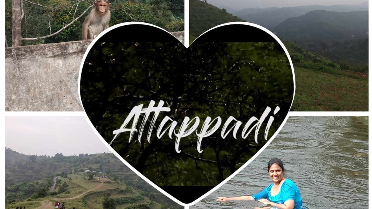 A Weekend Family Trip to Attappadi💝#അട്ടപ്പാടിയിലേക്കൊരു മനോഹര ...
