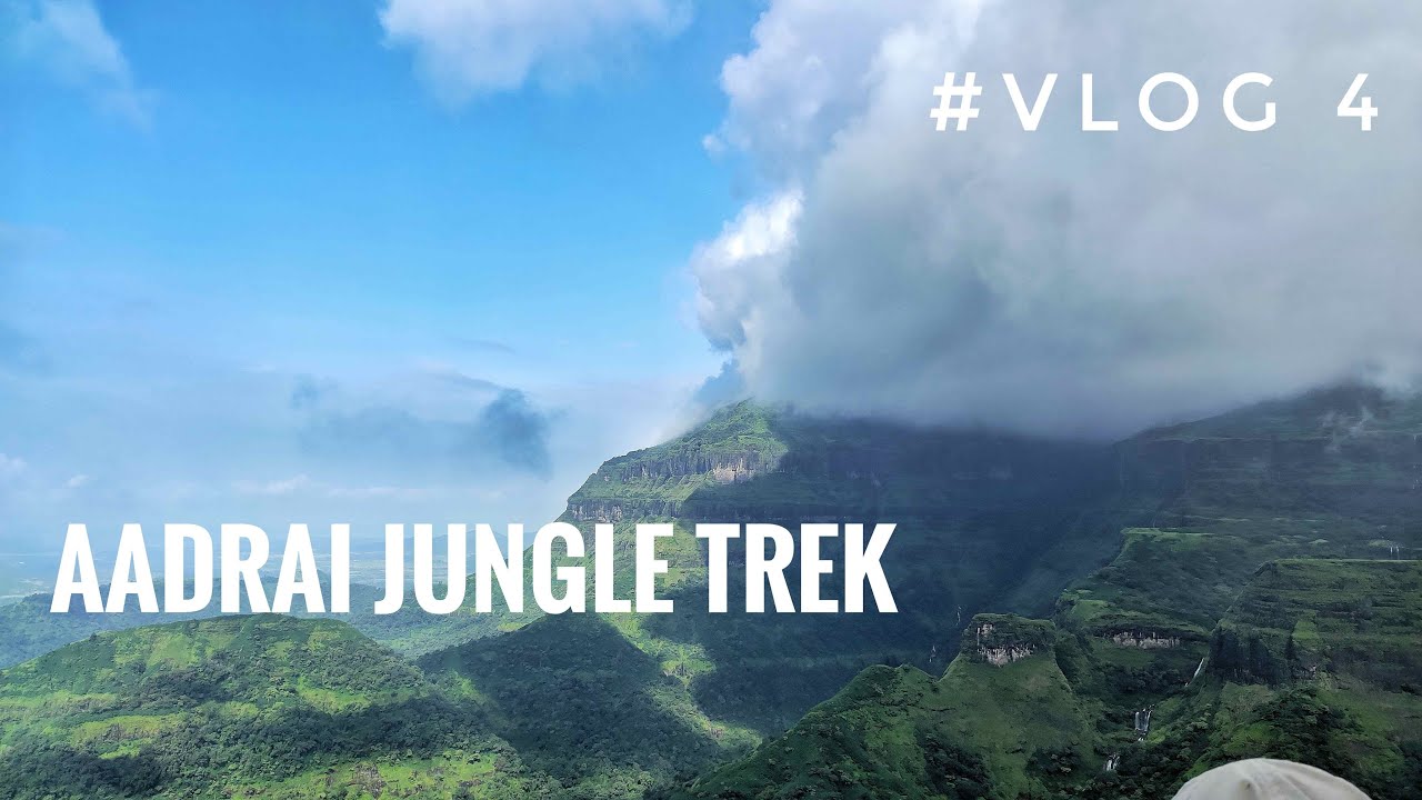 AADARAI JUNGLE TREK I Vlog#4 - YouTube