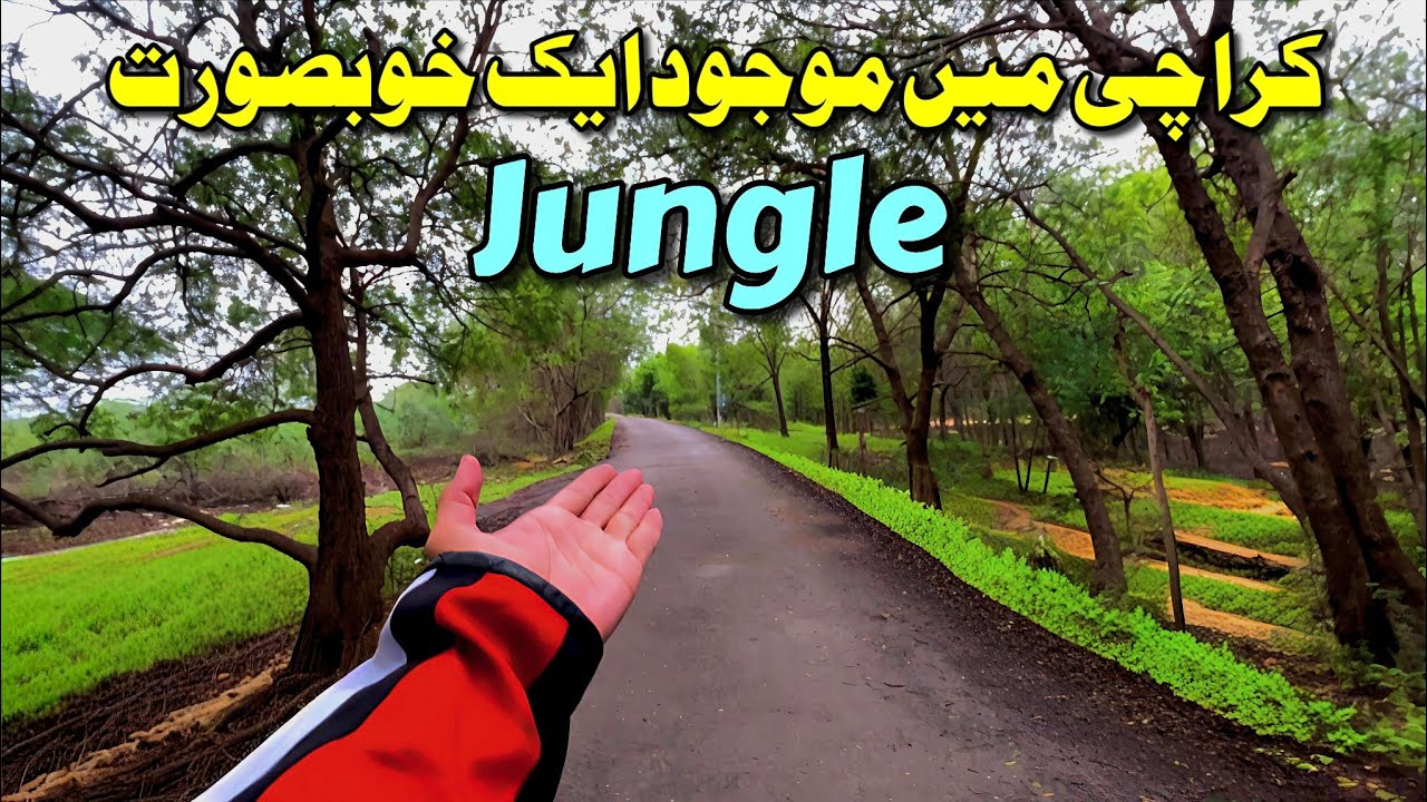 Karachi ka Hidden Green Forest 🌿 | Thaddo Forest Gadap Town - YouTube