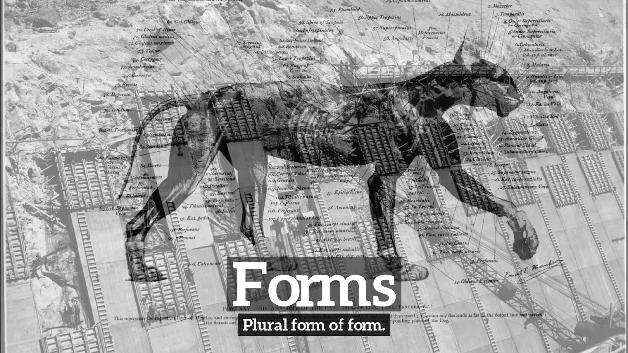 What is Forms? | How Does Forms Look? | How to Say Forms in English ...