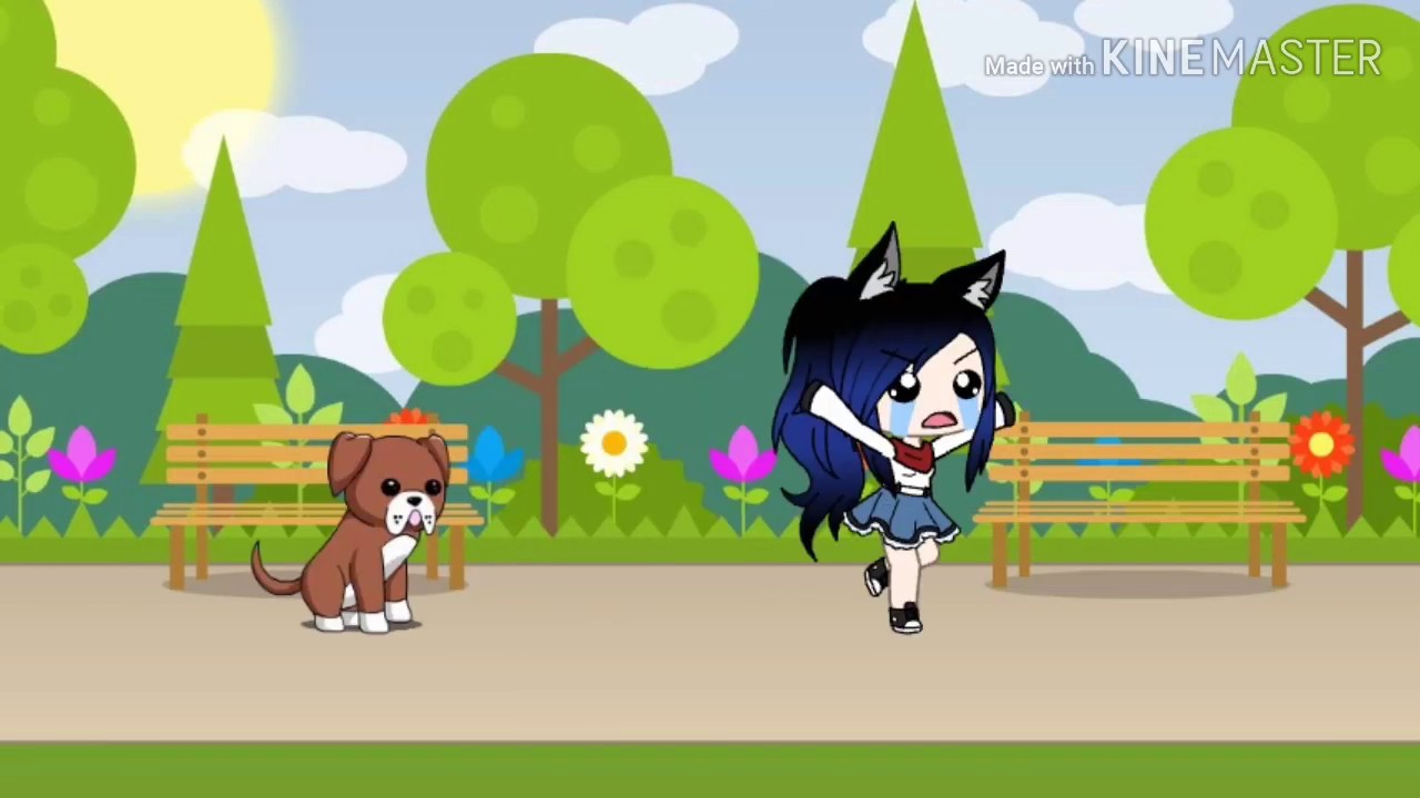 Hay Pero que lindo perrito•]Meme XD :v - YouTube