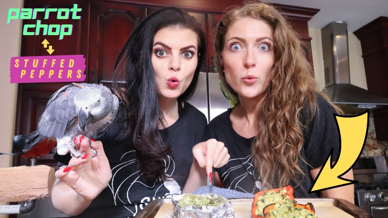 HOW TO MAKE PARROT CHOP FOR SMALL BIRDS! | PARROT CHOP CHEF - YouTube