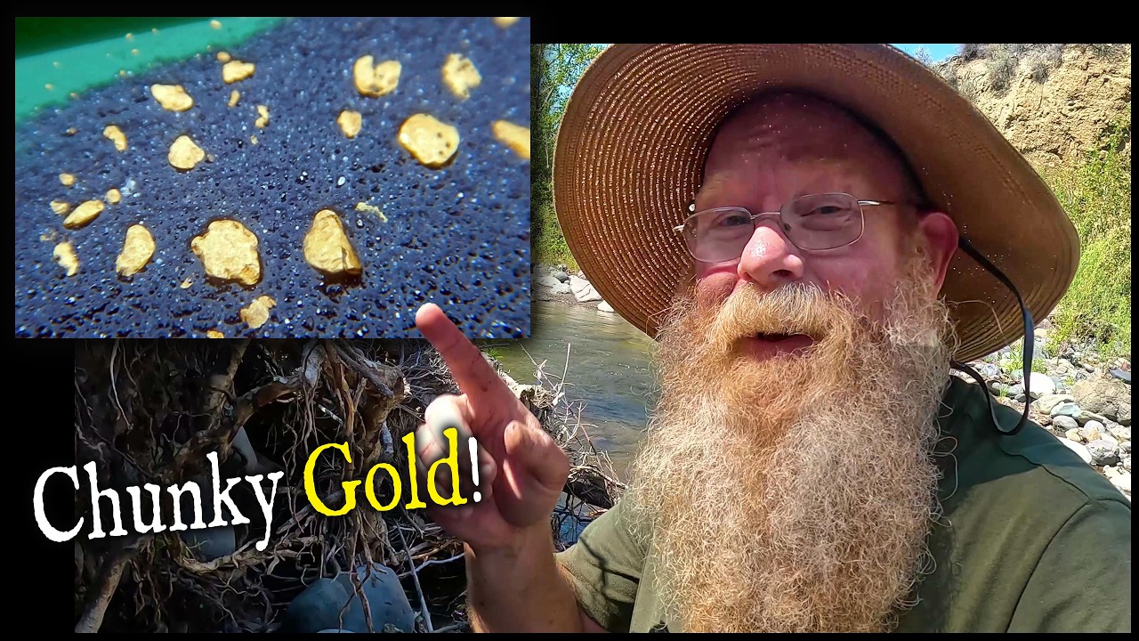 Prospector Finds Multiple Gold Pickers, in a Public Spot! - YouTube