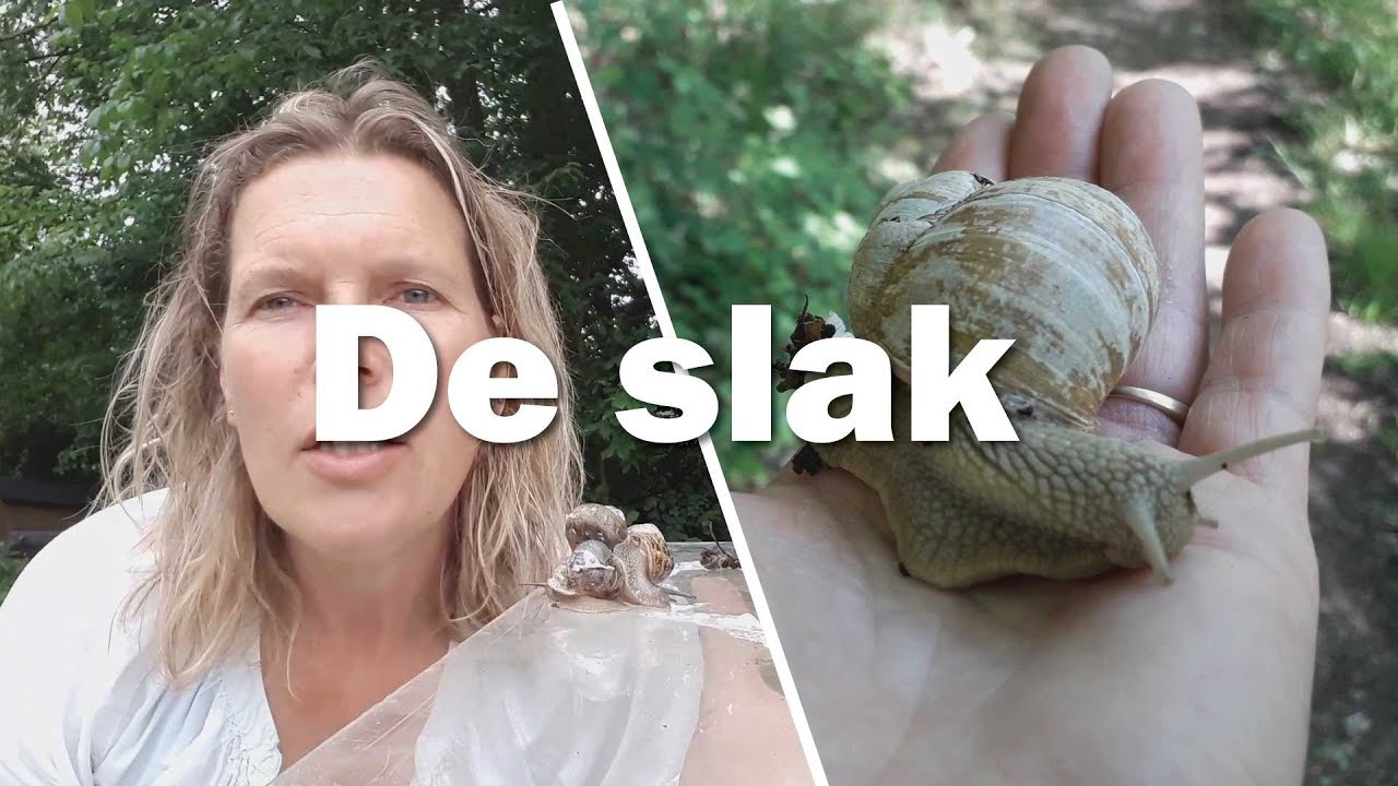 De Slak - YouTube