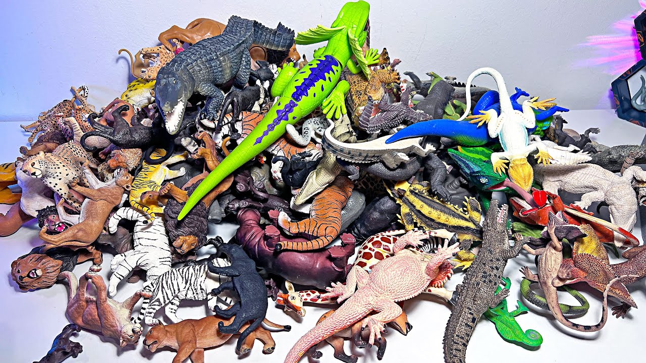 200 Animals - African Animals, Big Cats, Reptiles, Crocodile, Lion ...