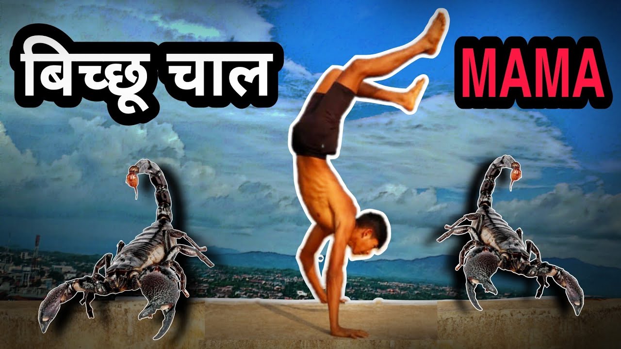 बिच्छू चाल🦂 scorpion move #mama #martialarts🔥💪🥋🤸 #bodypower #fitness ...