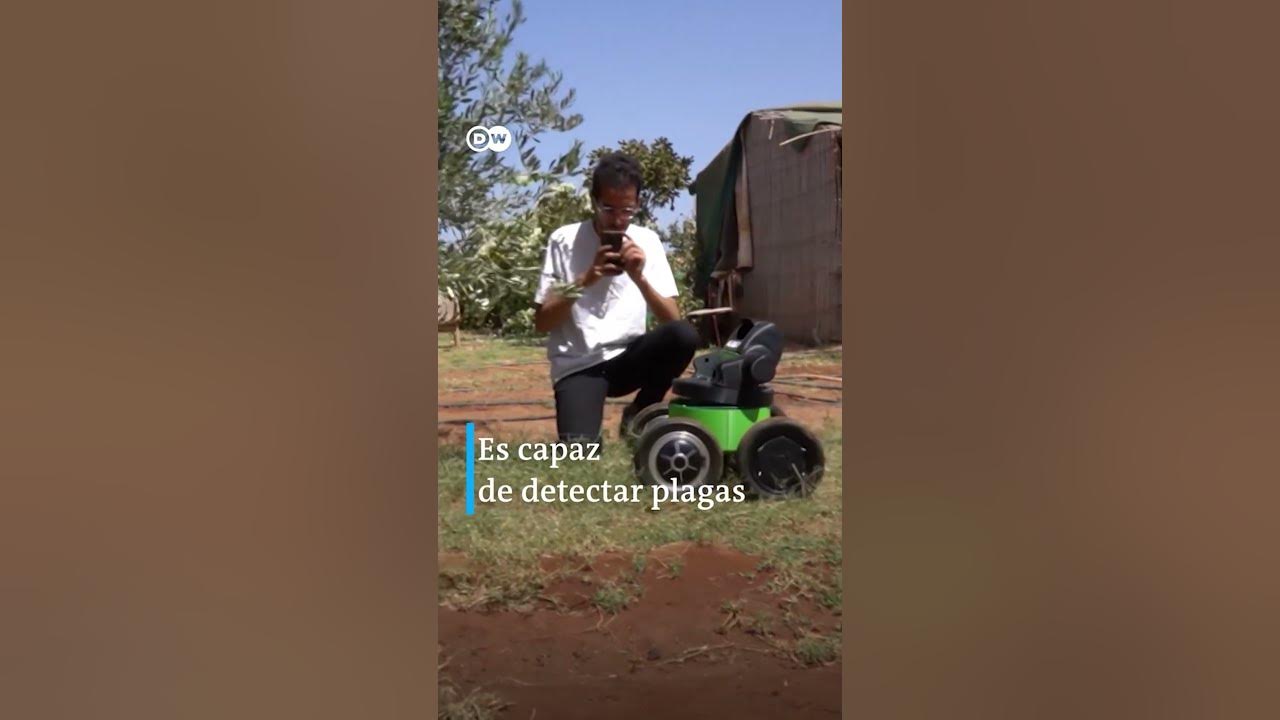 ¡Llegan los robots al campo! Conoce a Agrigo y sus funciones - YouTube
