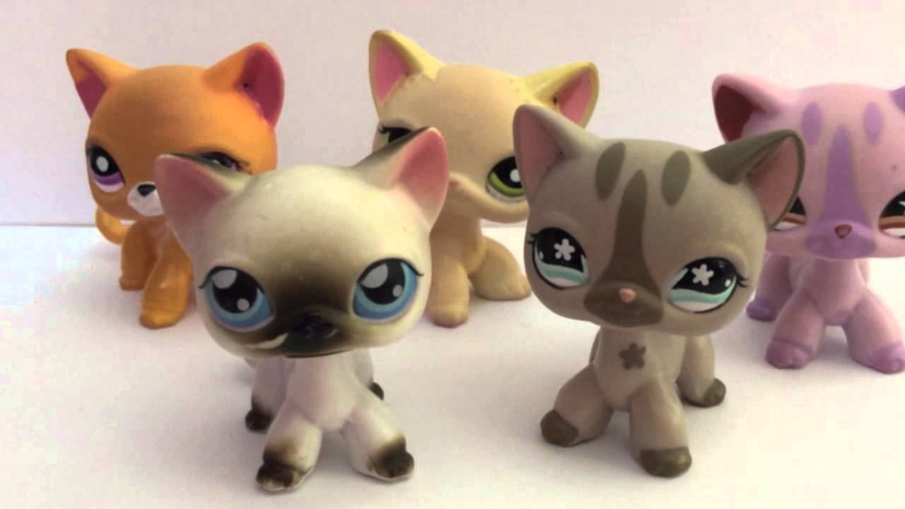My New LPS Shorthaired Cats - YouTube