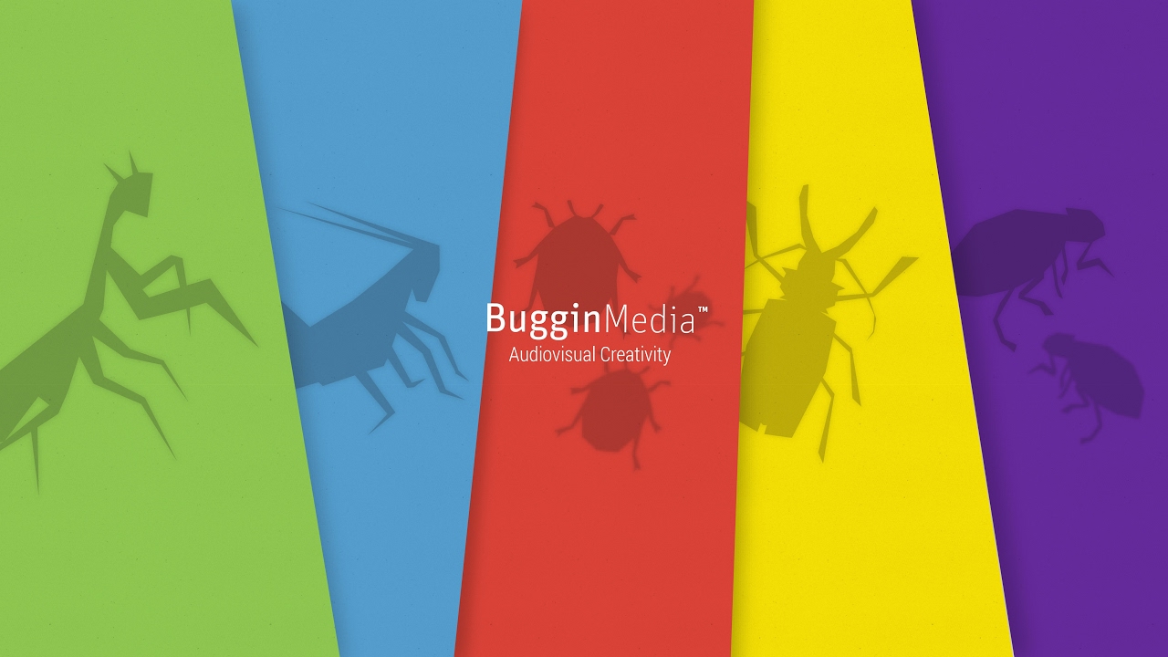 Buggin Media Live Stream - YouTube