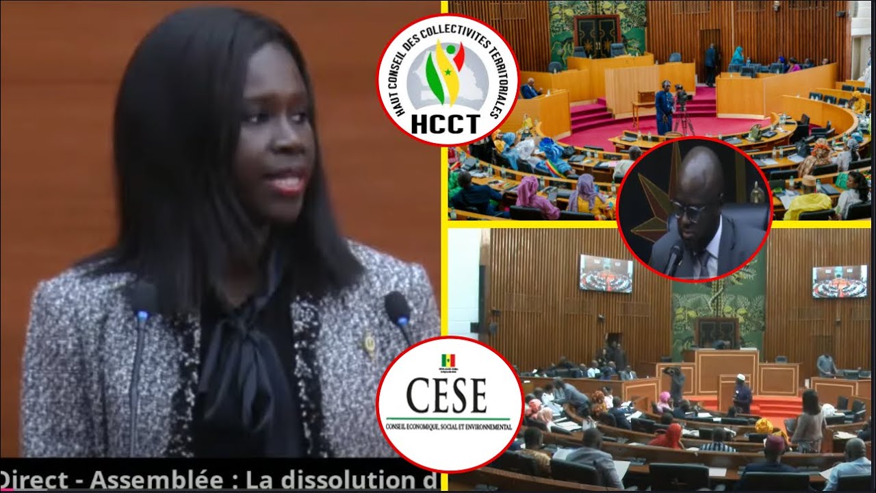 Suppression HCCT et CESE: La pertinente intervention de l'honorable ...