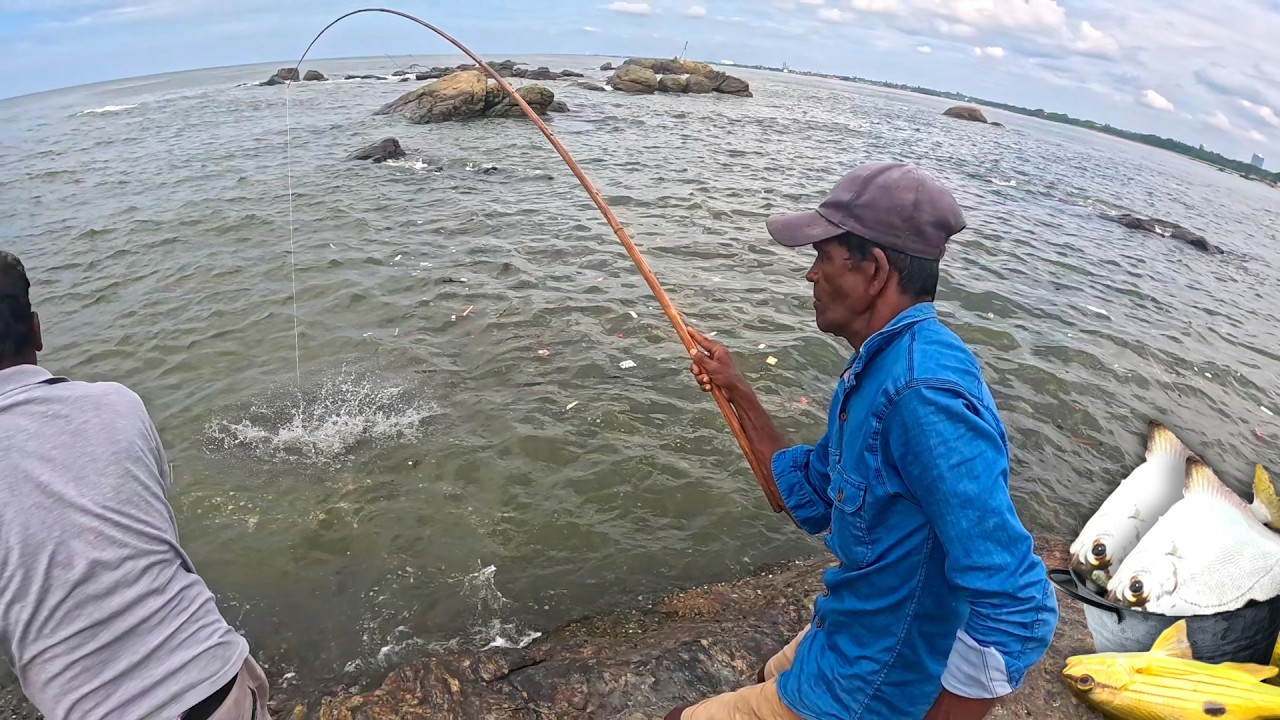 Wow! Hardworking Fishermen: Catching Fish to Feed Their Families - YouTube