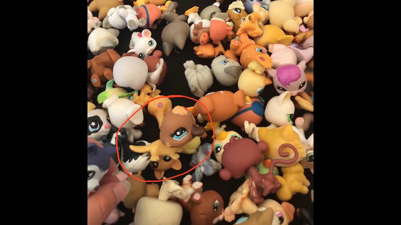 I Found An Lps Prototype At The Swap Meet?! - YouTube