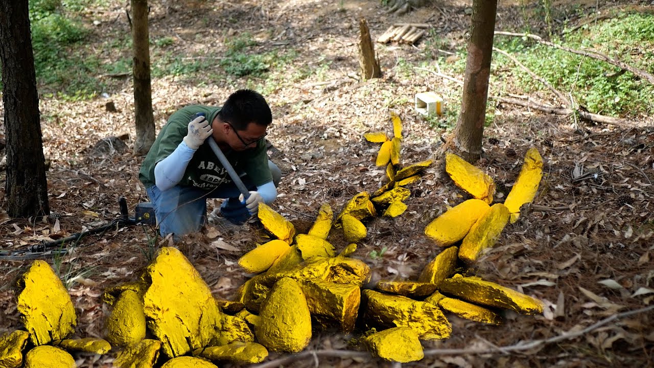 Digging up multi-million dollar Treasures of Gold----Gold hunting in ...