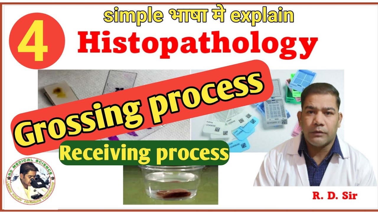 Grossing process in Histopathology Laboratory | Biopsy Grossing ...