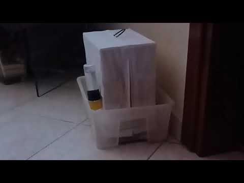 Φλωρια - Greenfinch - Flurya