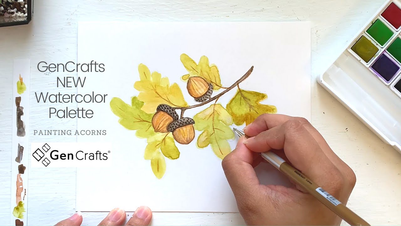 Painting Acorns with Watercolors - Gencrafts NEW 24 Watercolor Palette ...
