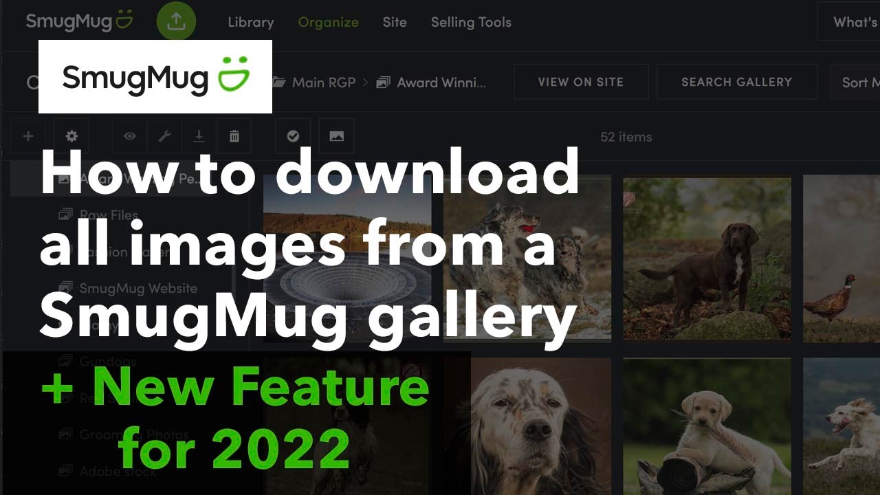 How to download all the images from a SmugMug Gallery - YouTube
