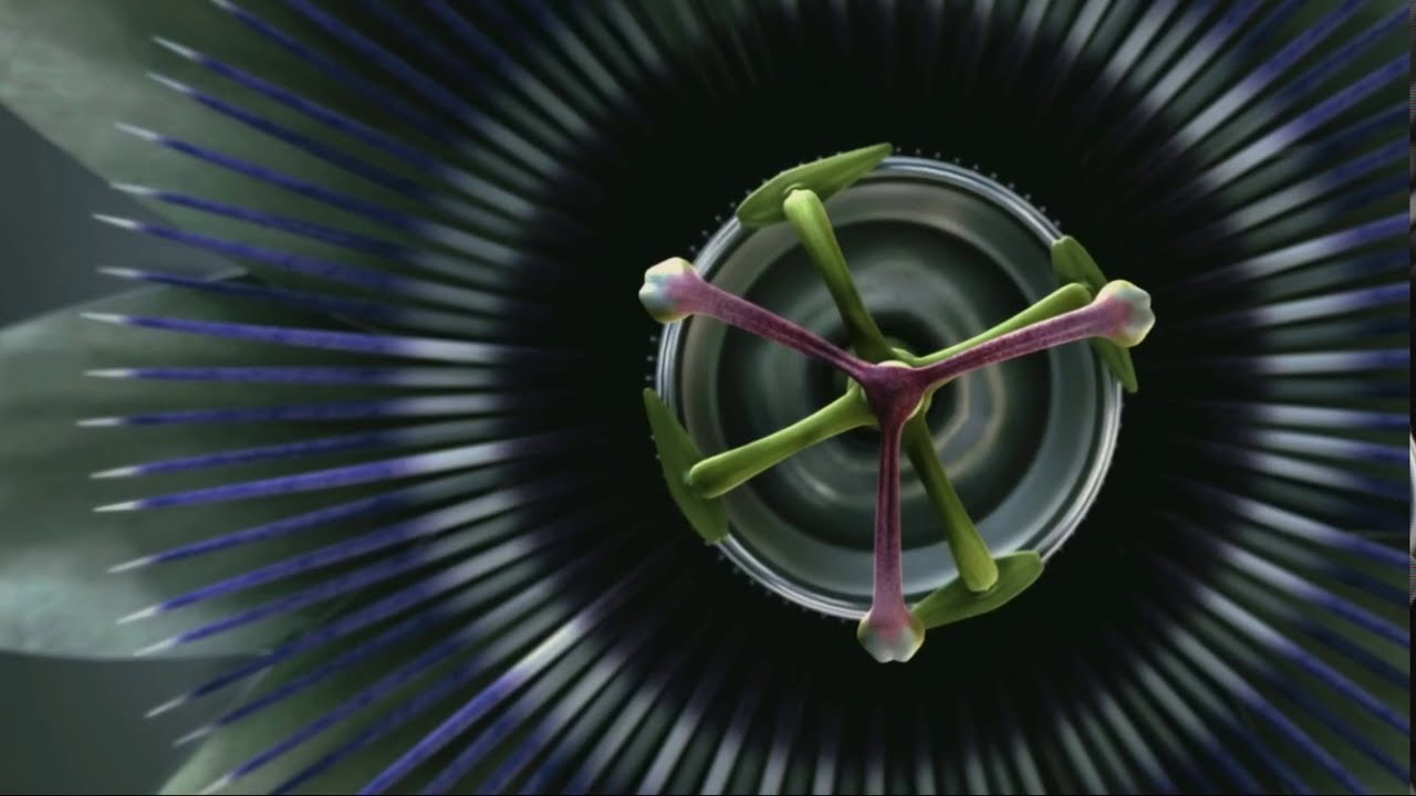 THX Amazing Life - YouTube