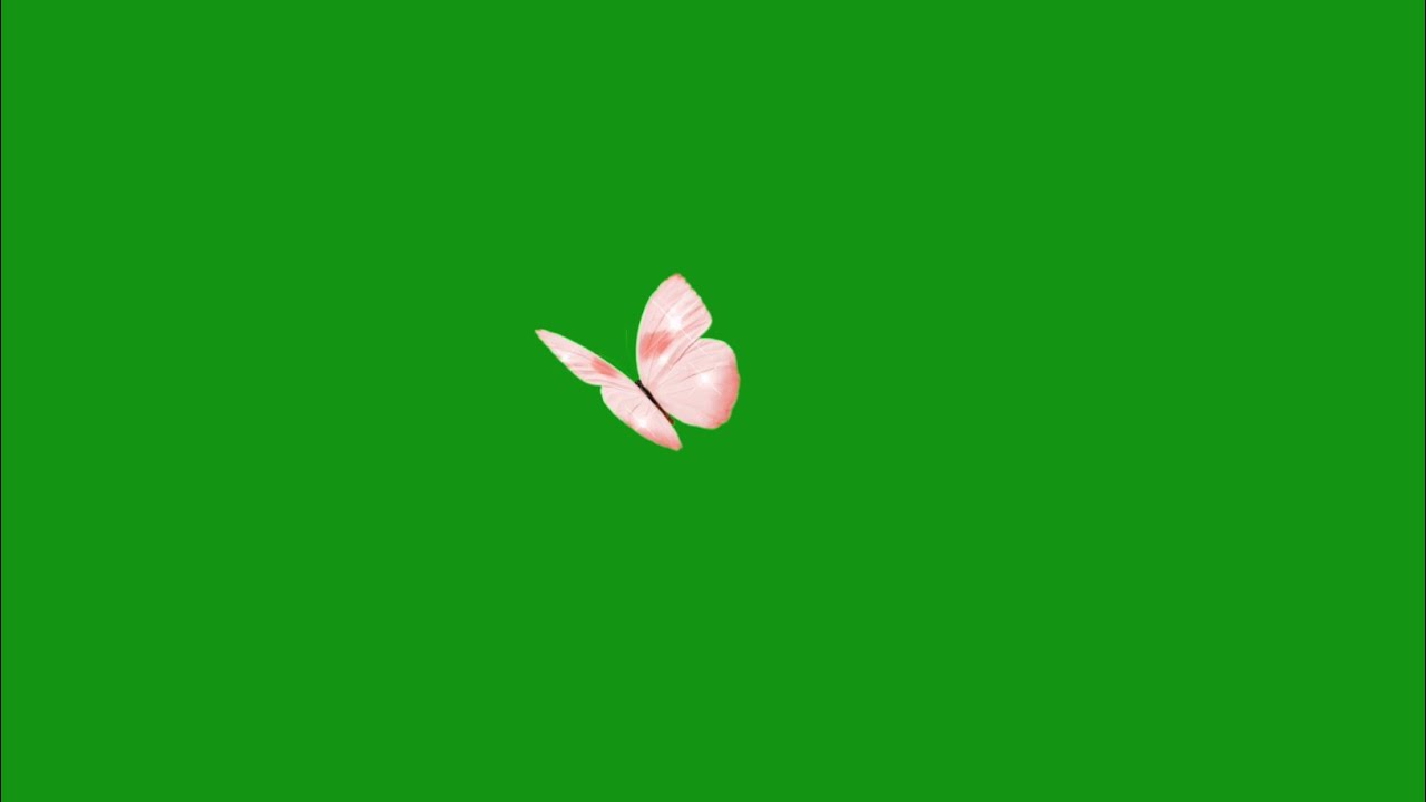 Pink butterfly green screen effects | green screen butterfly effect ...