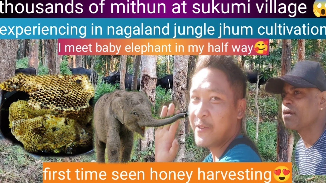 Finall Vlog In Sukumi village With My Tears 😢 With @Sebnagafamily7 ...