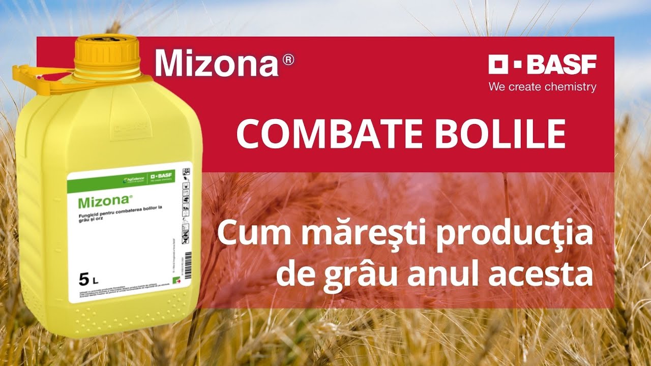 Fungicid Grâu și Orz Mizona® | Tratamentul Care COMBATE Bolile Grâului ...